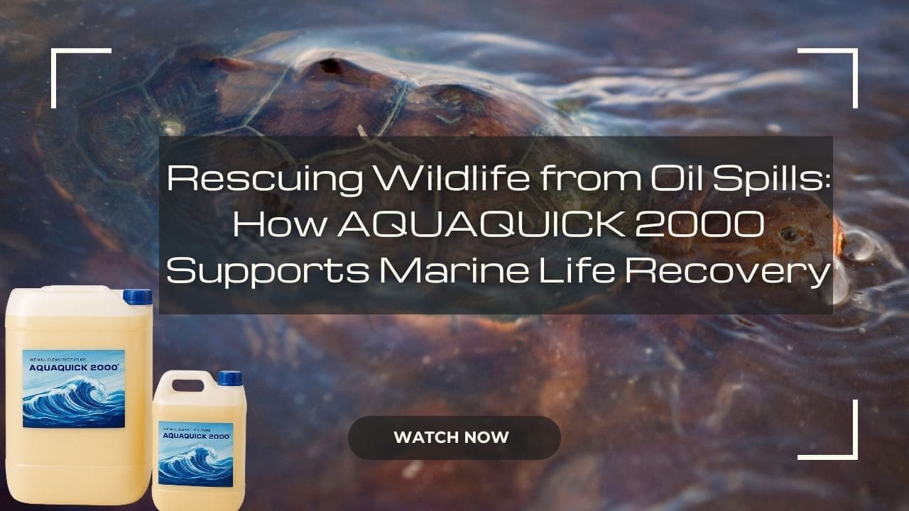 Rescuing Wildlife From Oil Spills: How AQUAQUICK 2000 Supports Marine ...